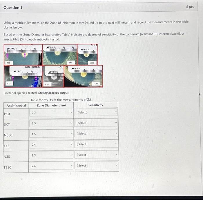Solved Using a metric ruler, measure the Zone of Inhibition | Chegg.com