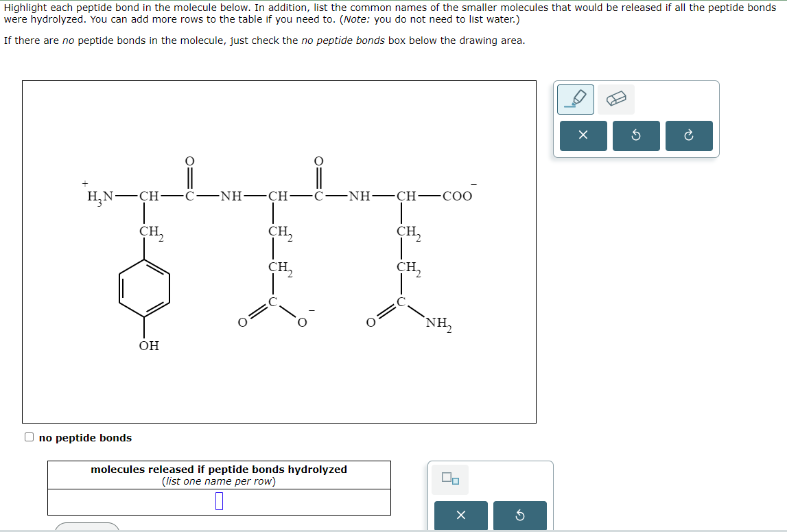 Solved Highlight each peptide bond in the molecule below. In | Chegg.com