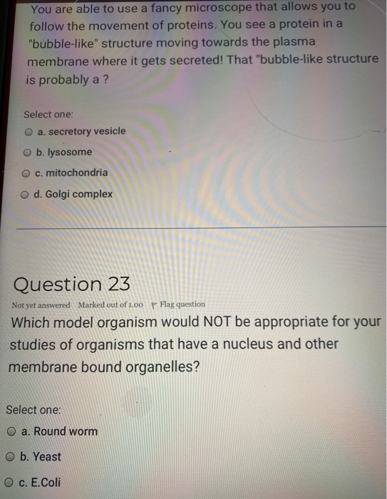 Solved You are able to use a fancy microscope that allows | Chegg.com