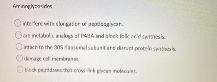 Solved Aminoglycosides interfere with elongation of | Chegg.com