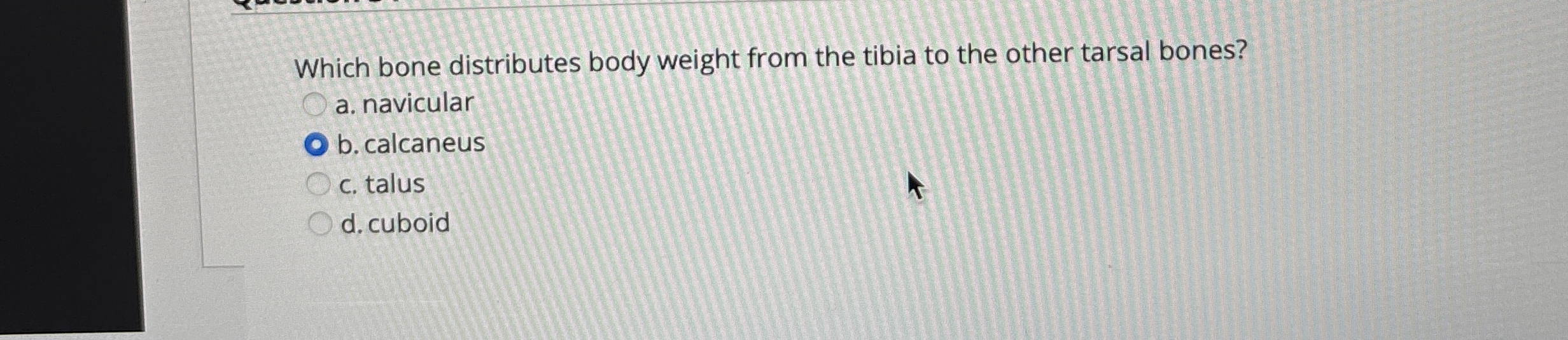 Which bone distributes body weight from the tibia to | Chegg.com