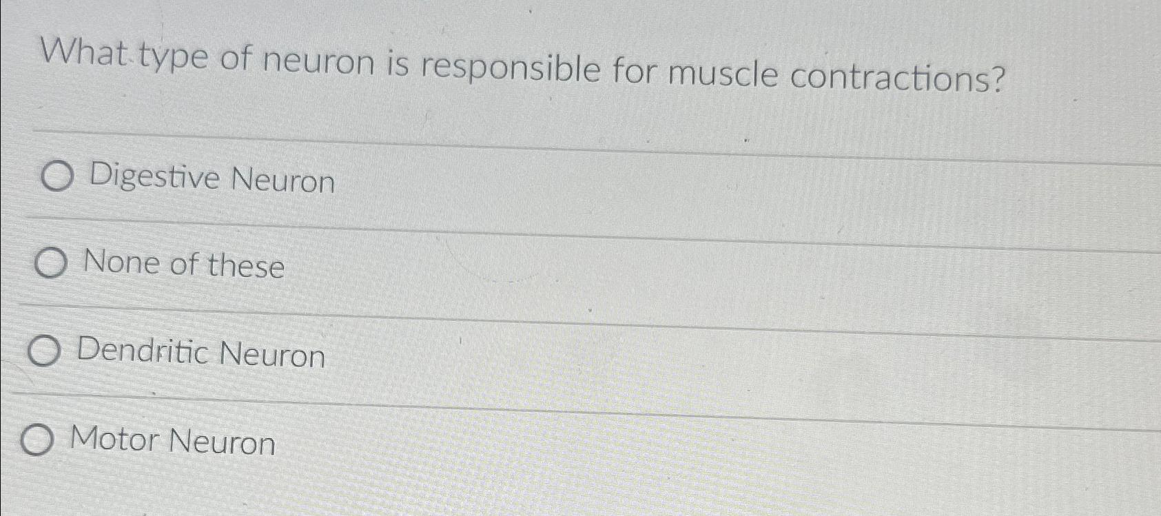 Solved What type of neuron is responsible for muscle | Chegg.com