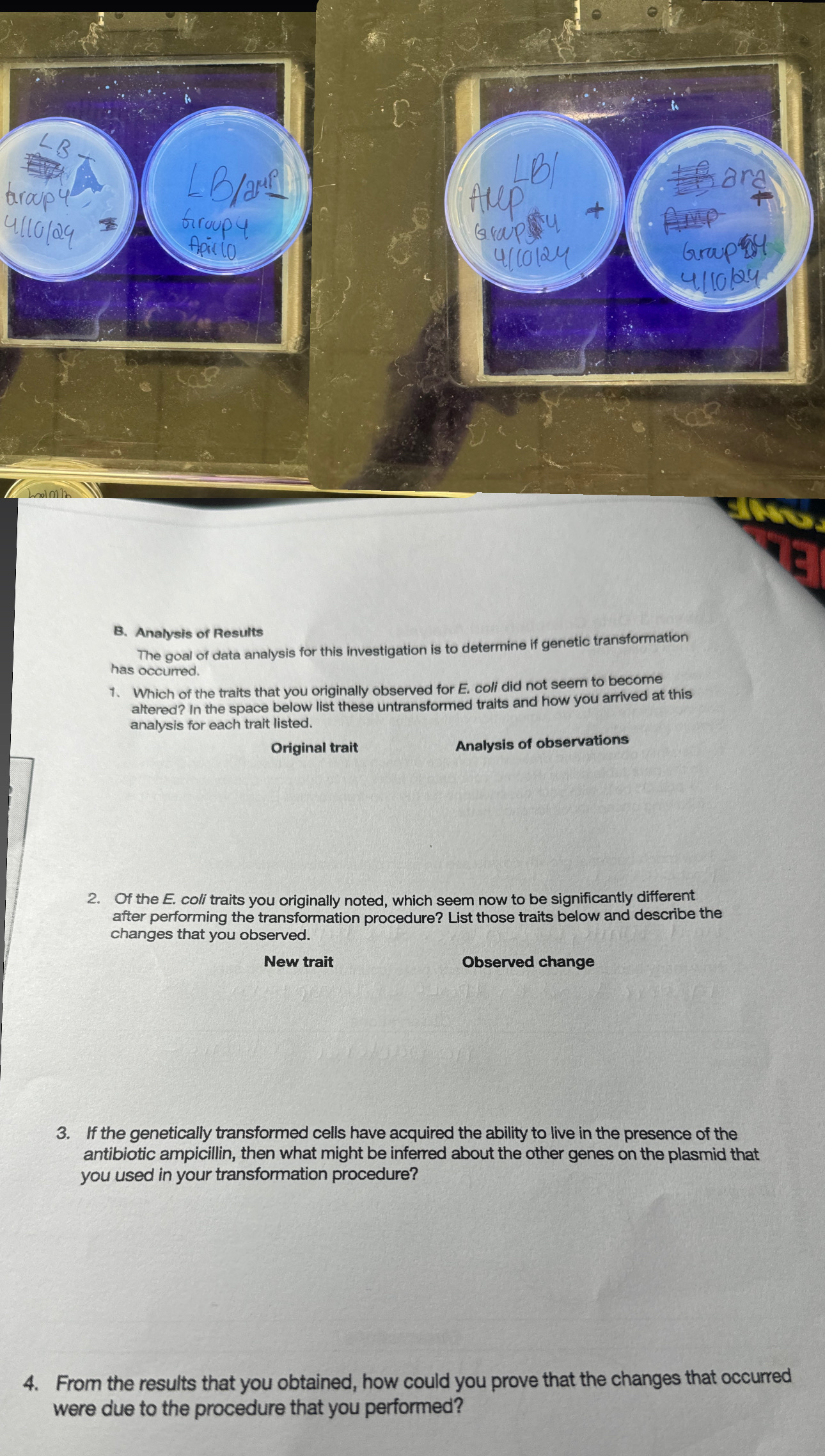 Solved B. ﻿Analysis of ResultsThe goal of data analysis for | Chegg.com