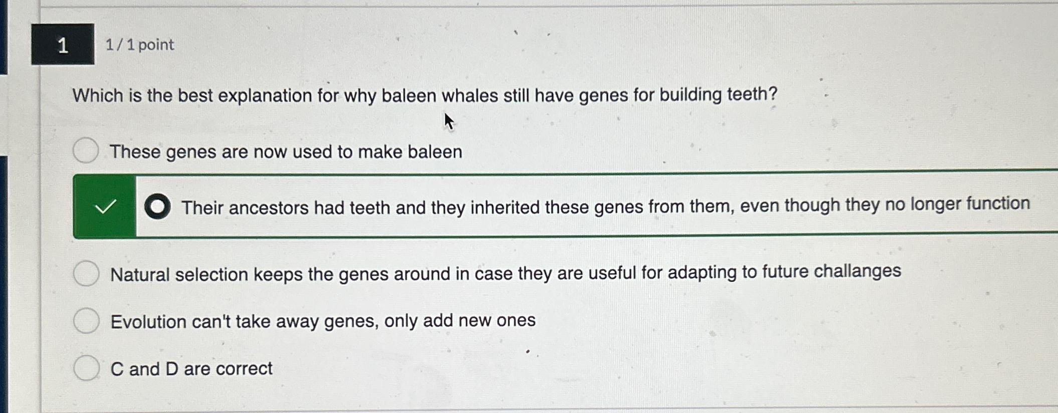 Solved 111 ﻿pointWhich is the best explanation for why | Chegg.com
