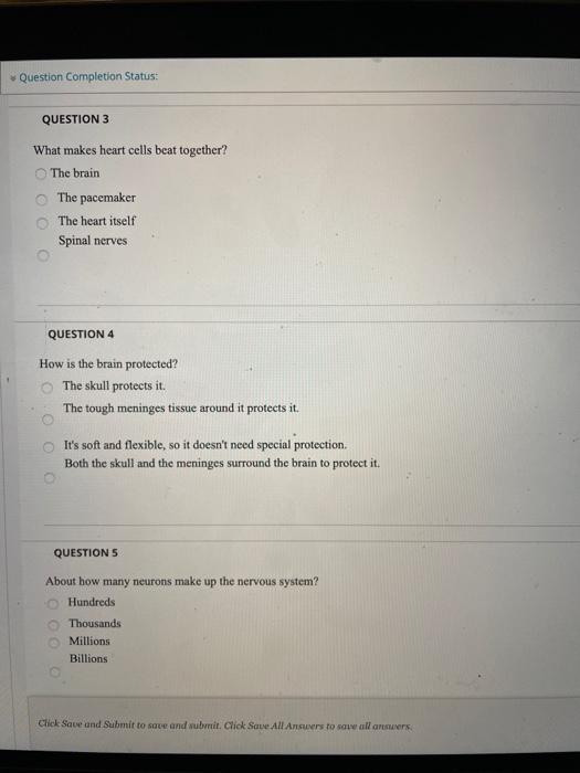 Solved Question Completion Status: QUESTION 3 What makes | Chegg.com