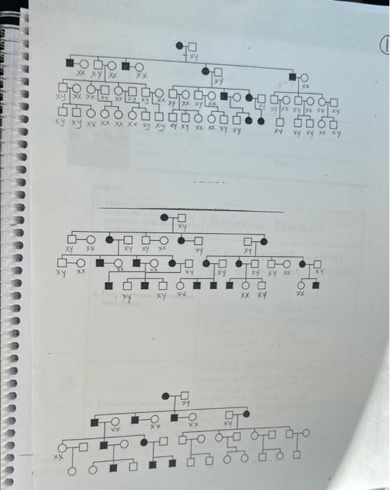 Solved What is the mode of inheritance? Only one mode | Chegg.com Solved What is the mode of inheritance? Only one mode | Chegg.com