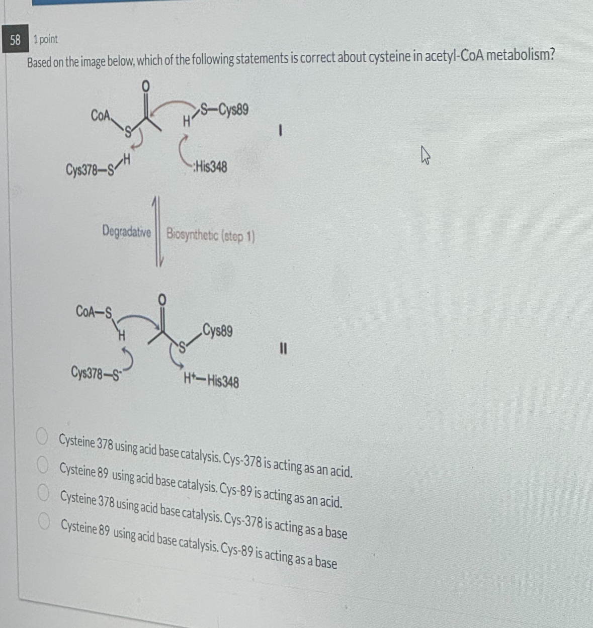 Solved Based on the image below, which of the following | Chegg.com