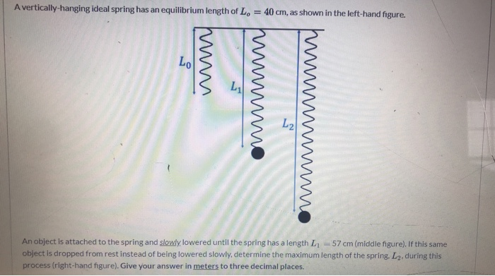 Solved A vertically-hanging ideal spring has an equilibrium | Chegg.com