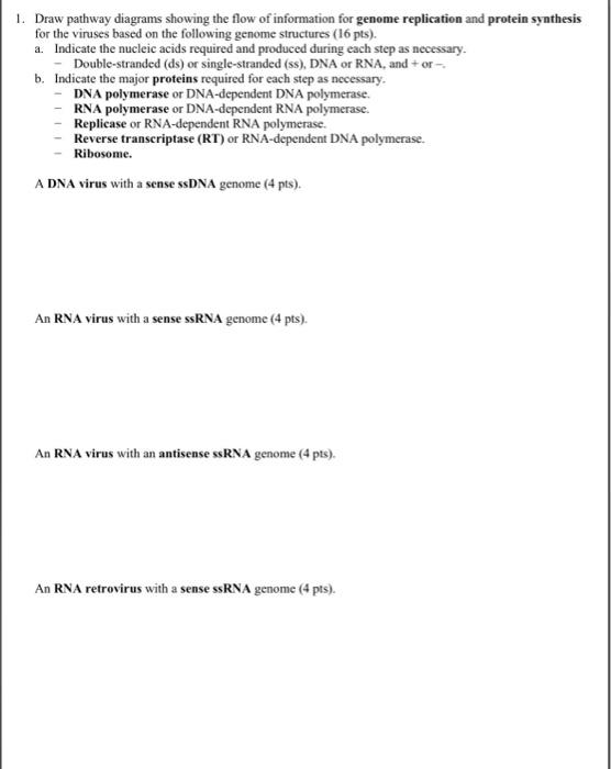 Solved 1. Draw pathway diagrams showing the flow of | Chegg.com