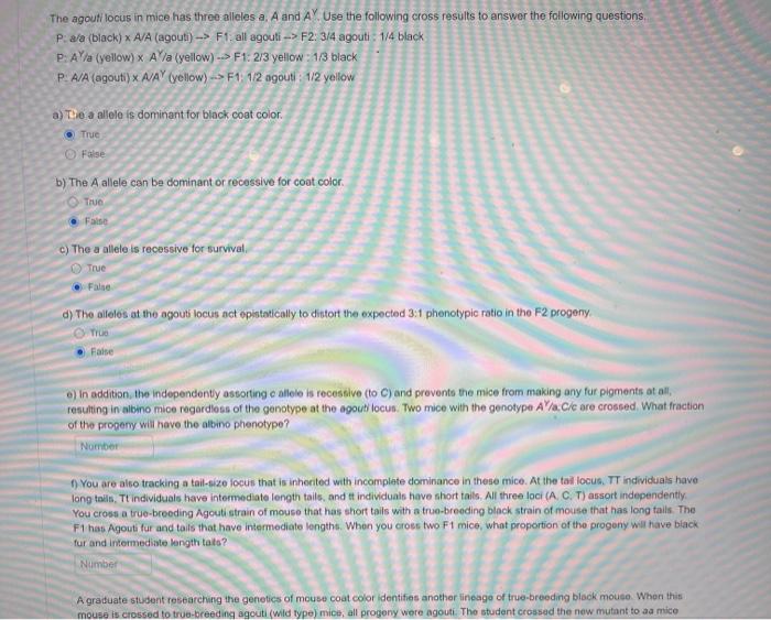 Solved The agouti locus in mice has three alleles a, A and | Chegg.com