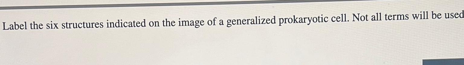 Solved Label the six structures indicated on the image of a | Chegg.com