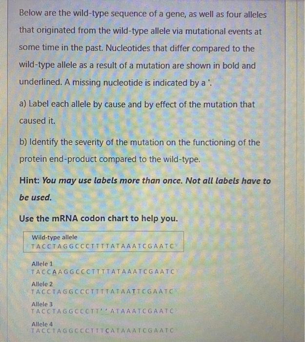 Solved Below are the wild-type sequence of a gene, as well | Chegg.com