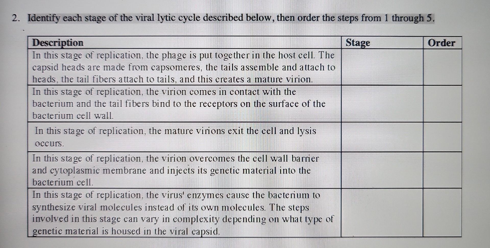 Solved 2. Identify each stage of the viral lytic cycle | Chegg.com