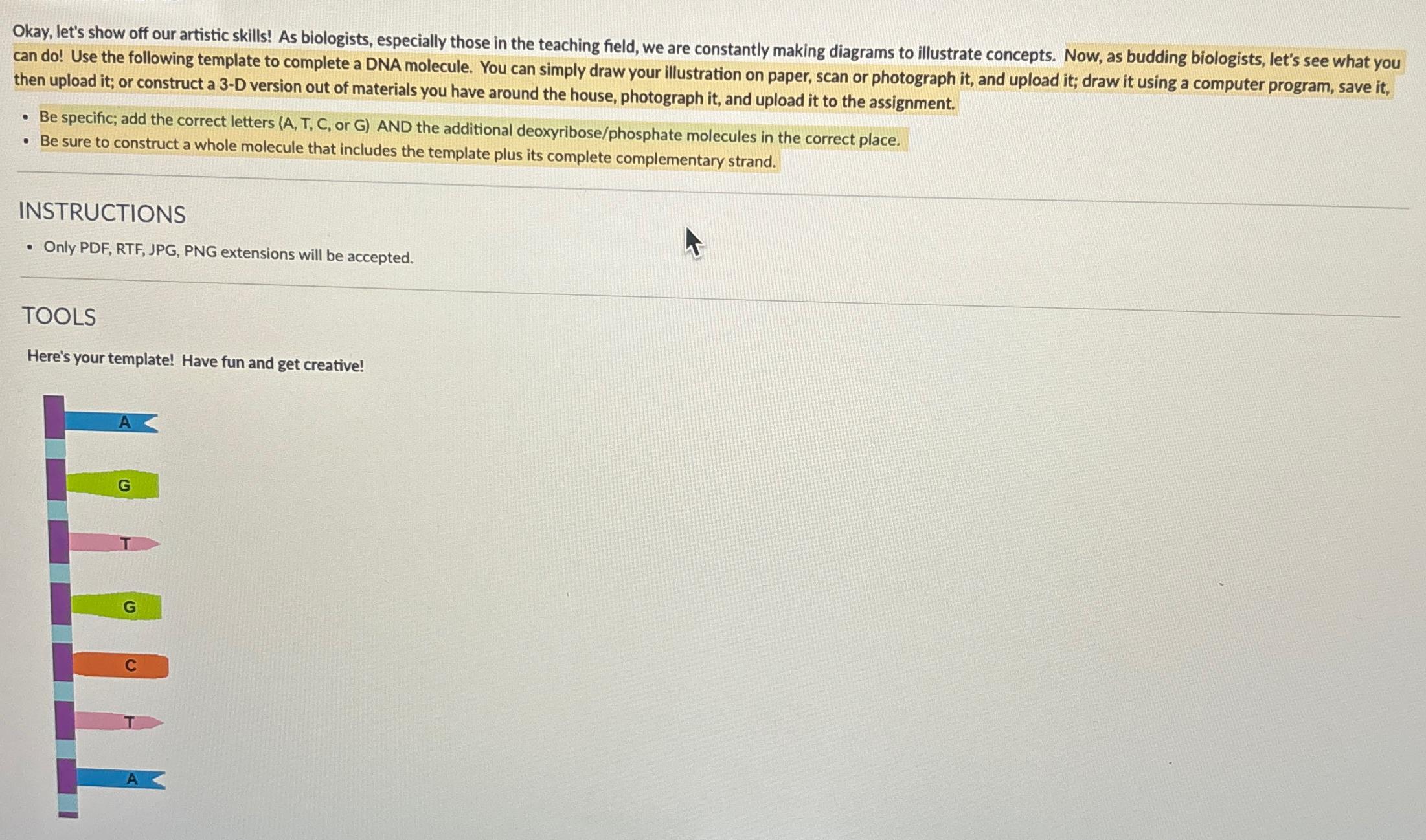 Solved Use the following template to complete a DNA | Chegg.com