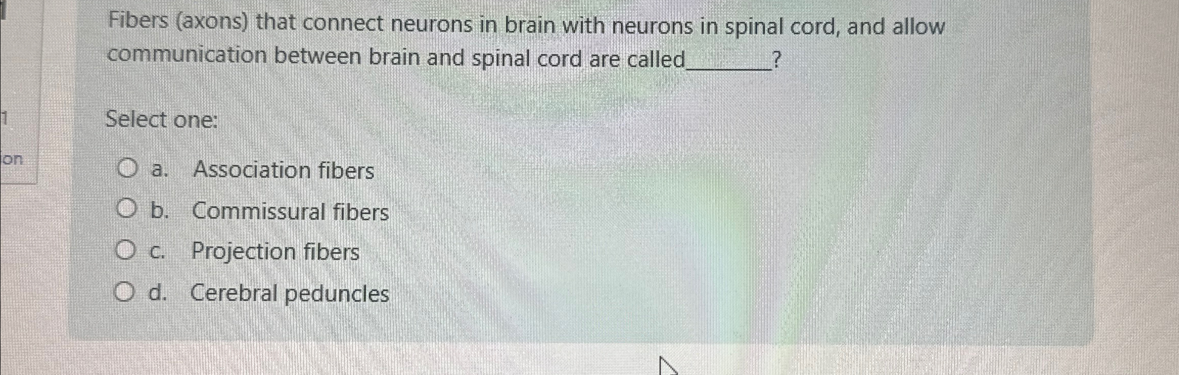 Solved Fibers (axons) ﻿that connect neurons in brain with | Chegg.com
