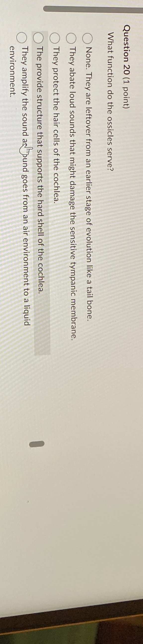 Solved Question 20 (1 ﻿point)What function do the ossicles | Chegg.com