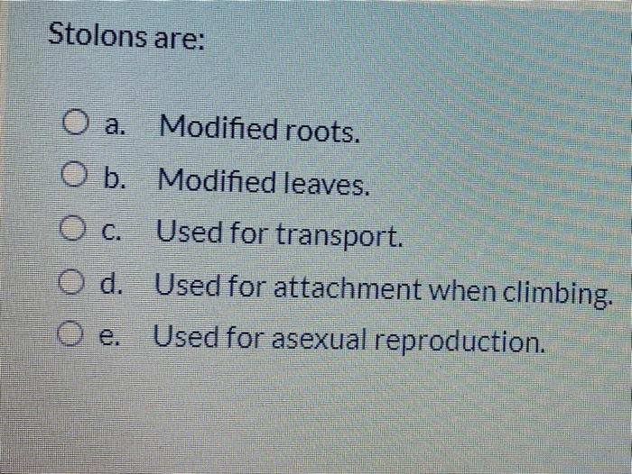 Solved Stolons are: O a. Modified roots. O c. O b. Modified | Chegg.com