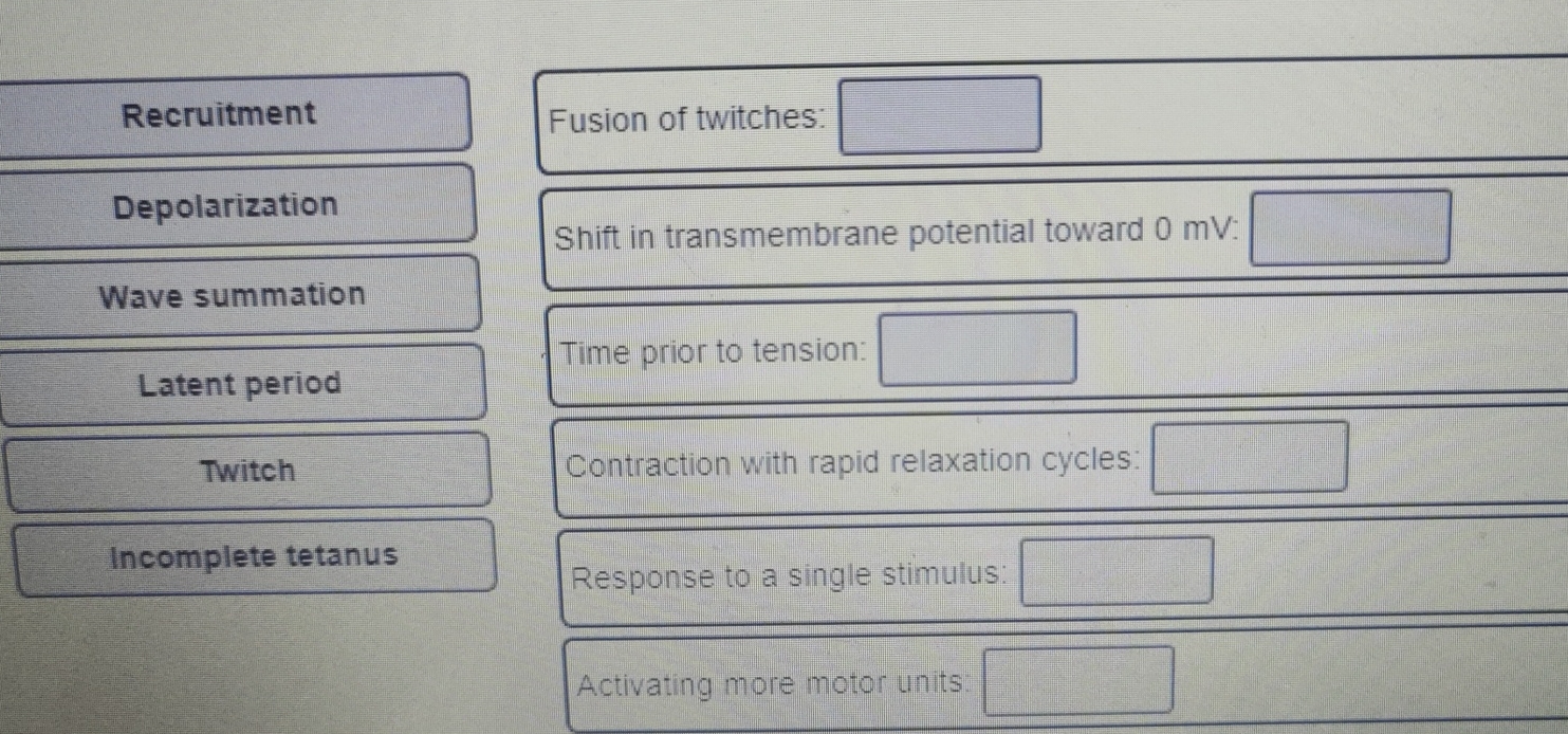 Solved RecruitmentDepolarizationWave summationLatent | Chegg.com