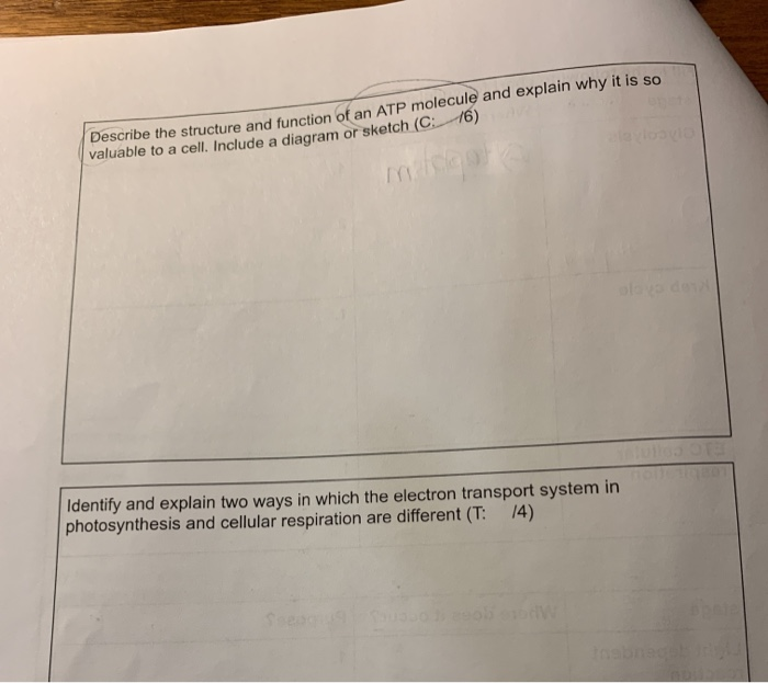 Solved Describe the structure and function of an ATP | Chegg.com