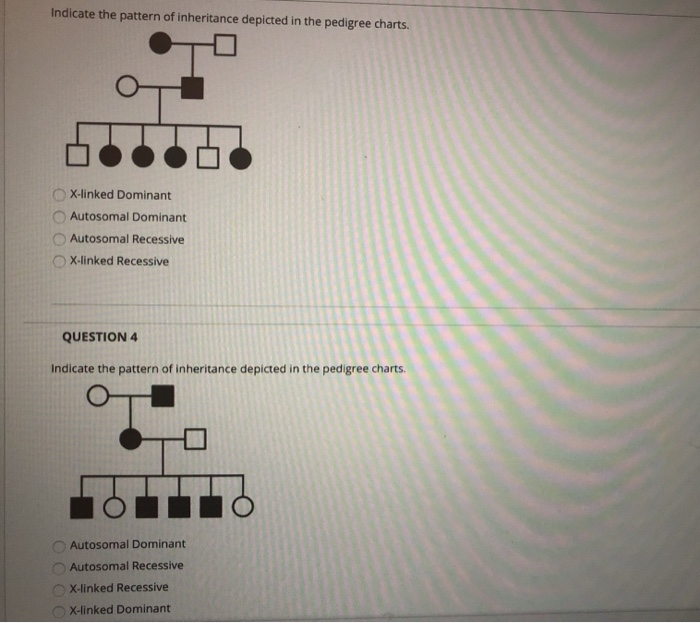 Solved Indicate the pattern of inheritance depicted in the | Chegg.com