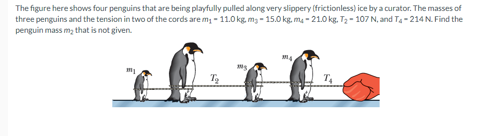 Solved The figure here shows four penguins that are being | Chegg.com
