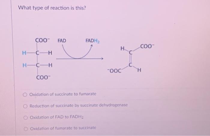 Solved What type of reaction is this? COO™ FAD H-C-H H-C-H | Chegg.com