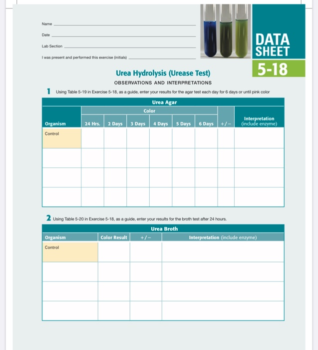 Name Date Lab Section DATA SHEET I was present and | Chegg.com