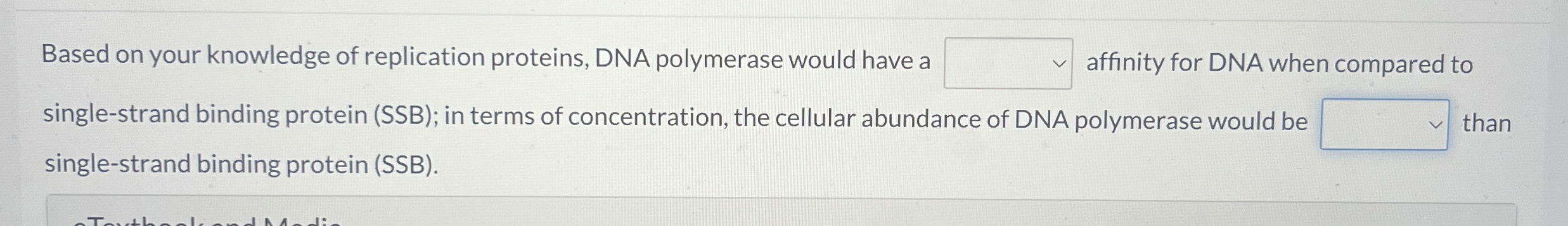 Solved Based on your knowledge of replication proteins, DNA | Chegg.com