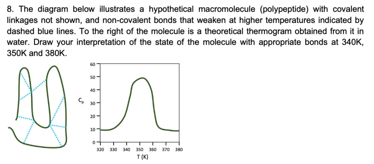Solved The diagram below illustrates a hypothetical | Chegg.com