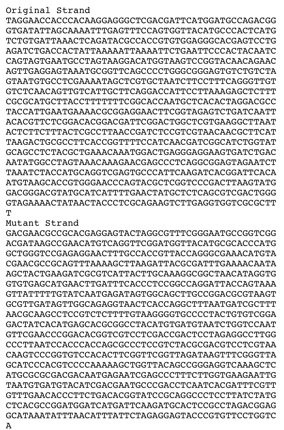 Solved Original Strand | Chegg.com