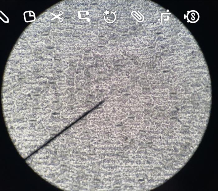 Solved draw this in a circle FOV 100xstipple the shaded | Chegg.com