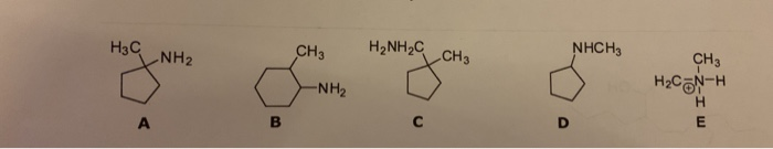 Solved H2NH2C CH3 NHCH3 H3C NH2 CH3 H2CON-H CH3 -NH2 H E D C | Chegg.com