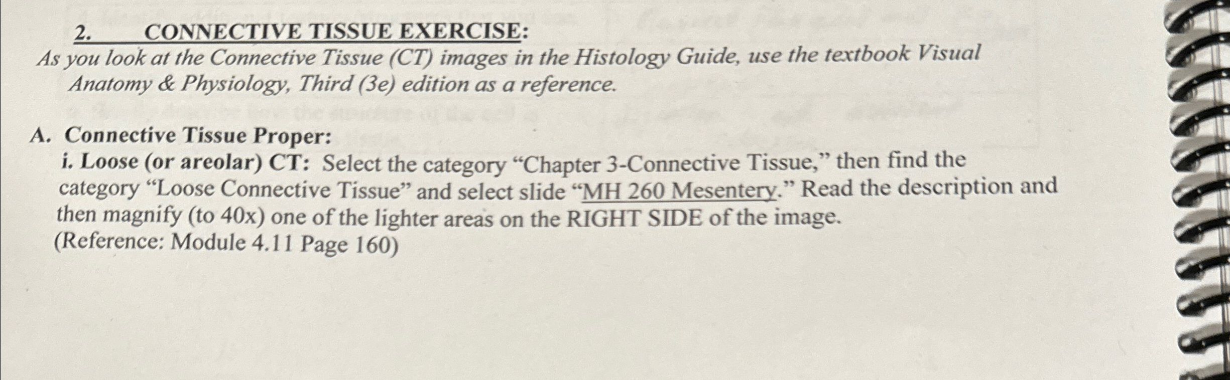 Solved CONNECTIVE TISSUE EXERCISE:As you look at the | Chegg.com