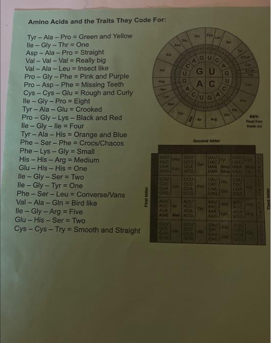 Name: Date: Parlod: Monster Synthesis Activity | Chegg.com