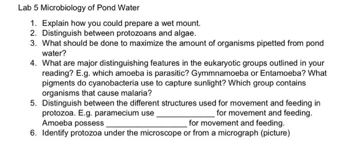 Solved Lab 5 Microbiology of Pond Water 1. Explain how you | Chegg.com