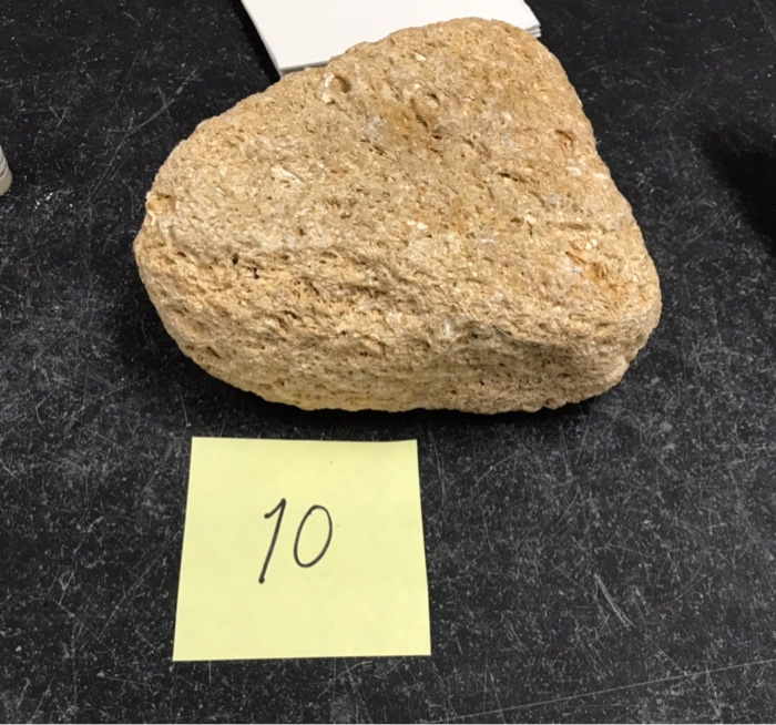 Solved Table for Carbonate Sedimentary Rocks Sample # | Chegg.com