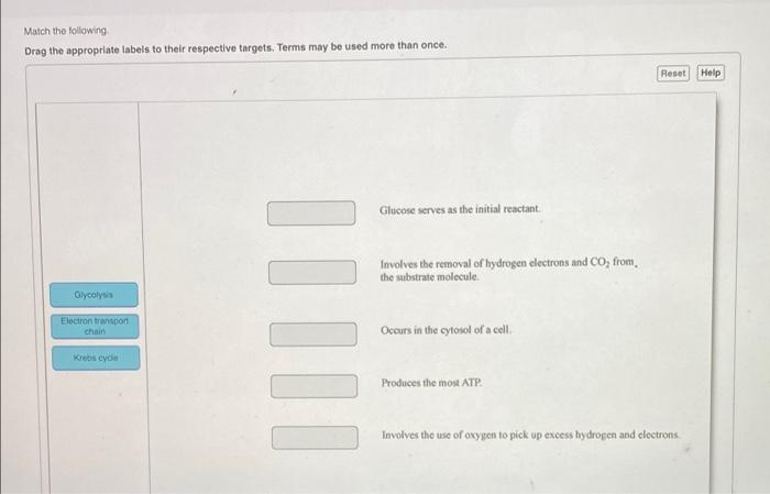 Solved Match the following. Drag the appropriate labels to | Chegg.com