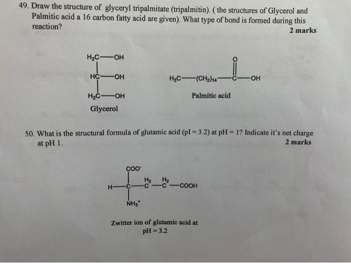 Solved 49. Draw the structure of glyceryl tripalmitate | Chegg.com