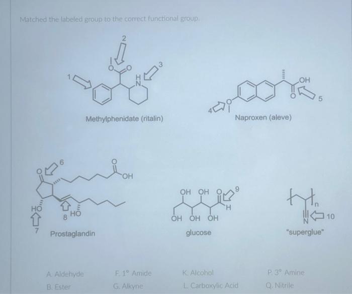 Matched the labeled group to the correct functional | Chegg.com