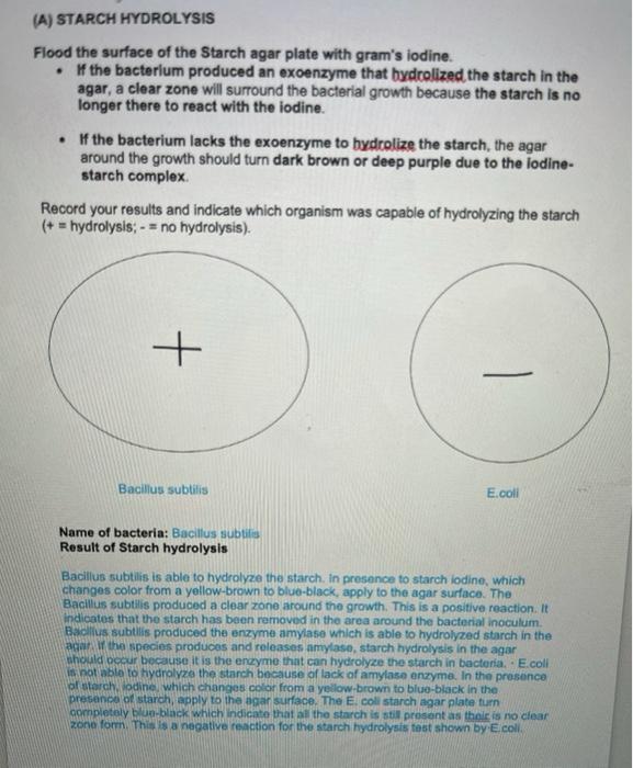 Solved STARCH HYDROLYSIS • Describe a method of testing for | Chegg.com