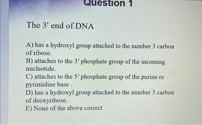 Solved The 3 end of DNA A) has a hydroxyl group attached to | Chegg.com