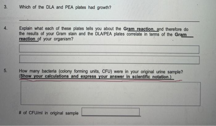 Solved Lab 13 Data You received the following sample from | Chegg.com