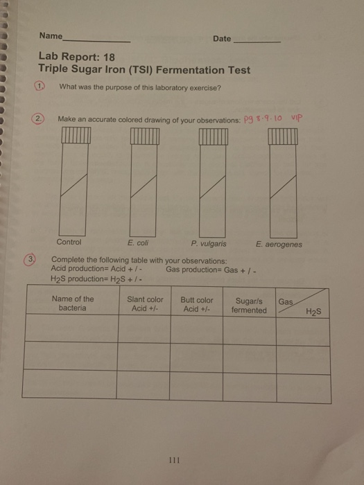 Solved Name Date Lab Report: 18 Triple Sugar Iron (TSI) | Chegg.com