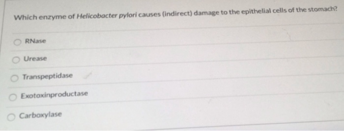 Solved Which enzyme of Helicobacter pylori causes (indirect) | Chegg.com