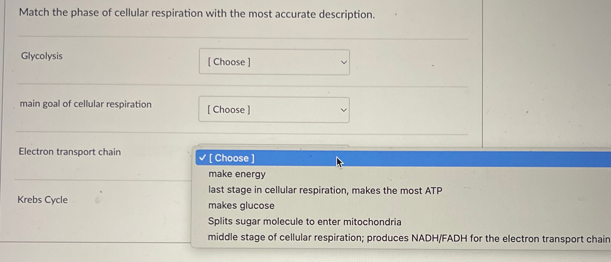 Solved Match the phase of cellular respiration with the most | Chegg.com