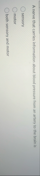 Solved A nerve that carries information about blood pressure | Chegg.com