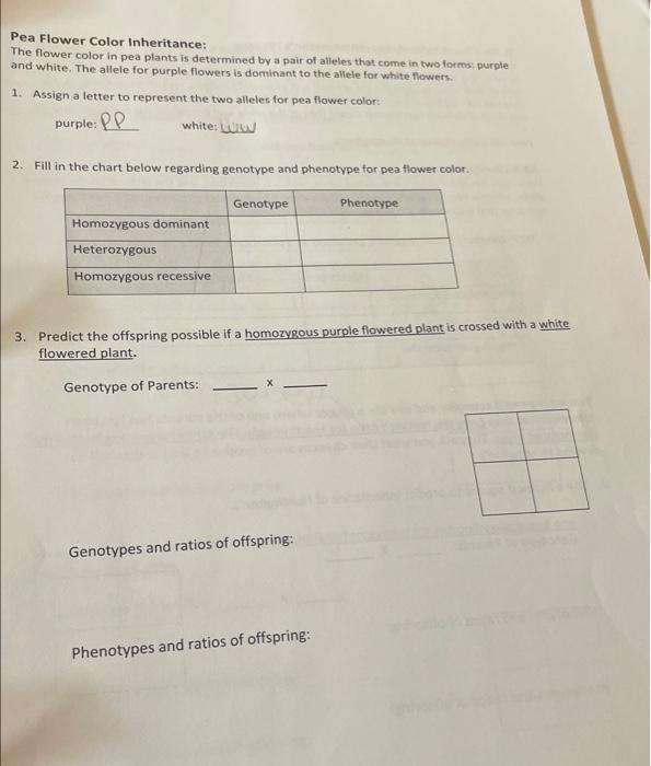 Solved Pea Flower Color Inheritance: The flower color in pea | Chegg.com