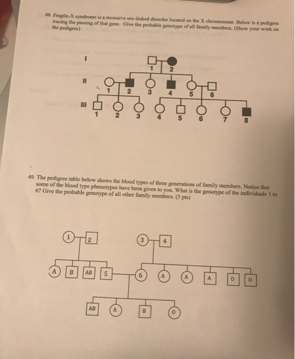 Solved 47. The pedigree below tracks the presence of dimples | Chegg.com