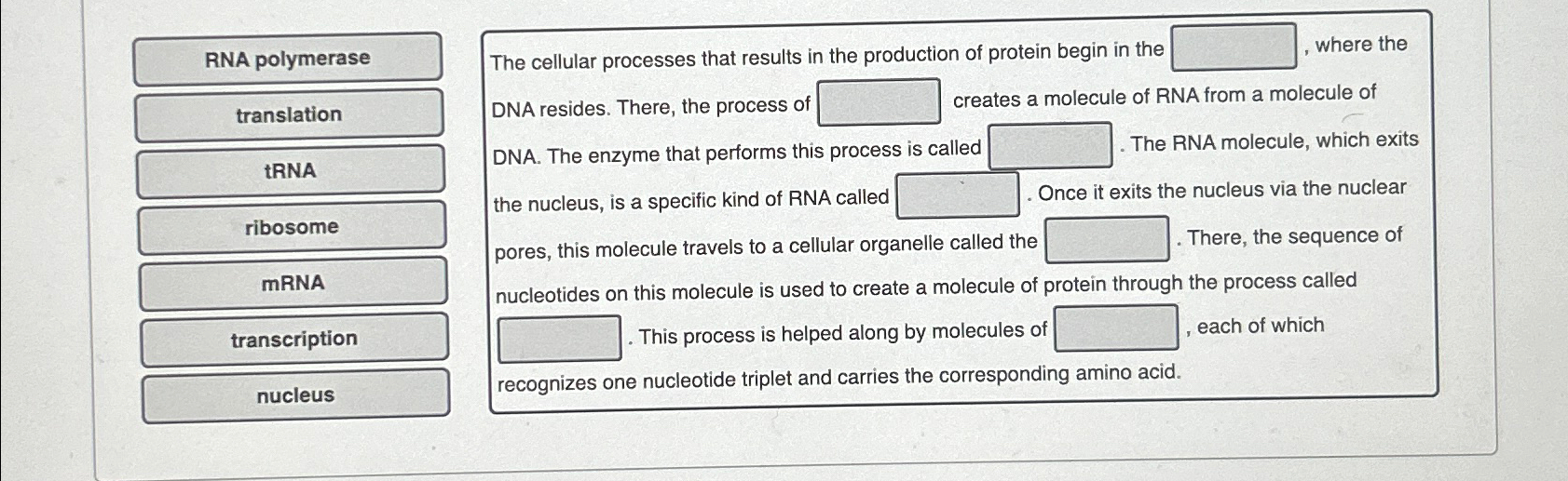 Solved RNA polymerasetranslationribosomemRNAThe cellular | Chegg.com