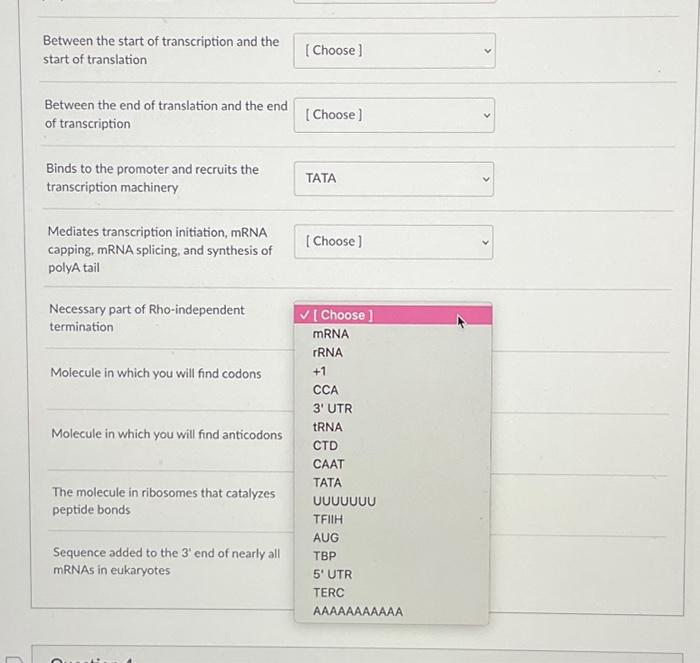 Solved Match each aspect of transcription or translation | Chegg.com